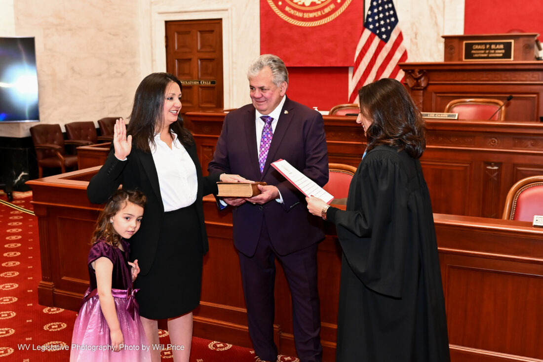 Incoming State Sen. Wakim-Chapman To Focus on School Security | News ...